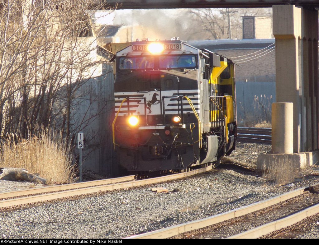 NS 8018 LOOKS WHATS COMMING